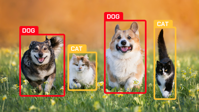 Machine learning models can distinguish dogs from cats by learning from ...